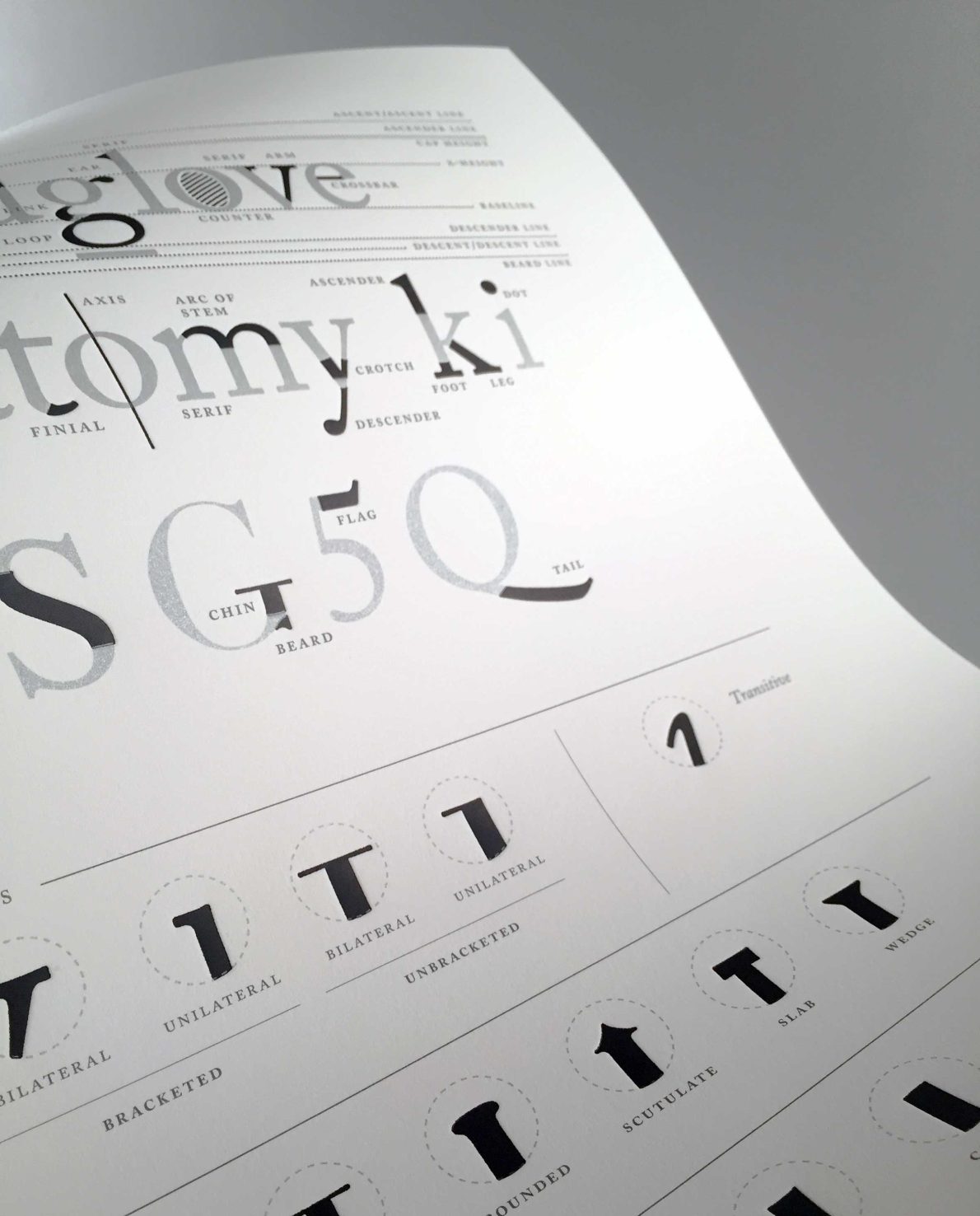 Type Anatomy Letterpress Print – Glyphic