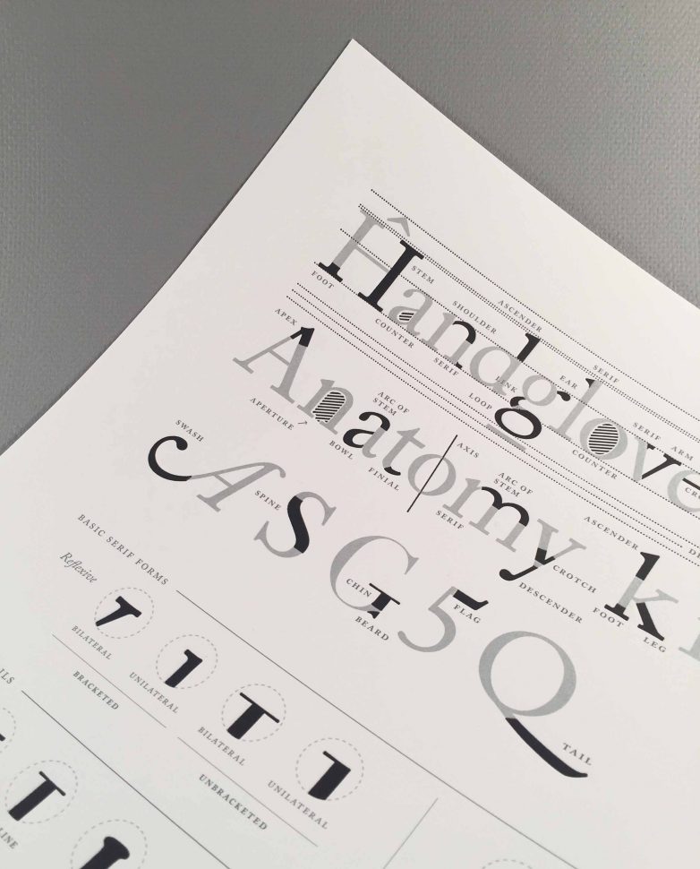Type Anatomy Letterpress Print – Glyphic